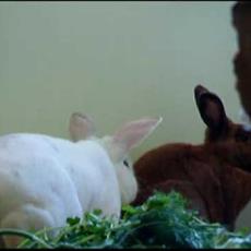 Bonding Part 2 Day 1 | BinkyBunny